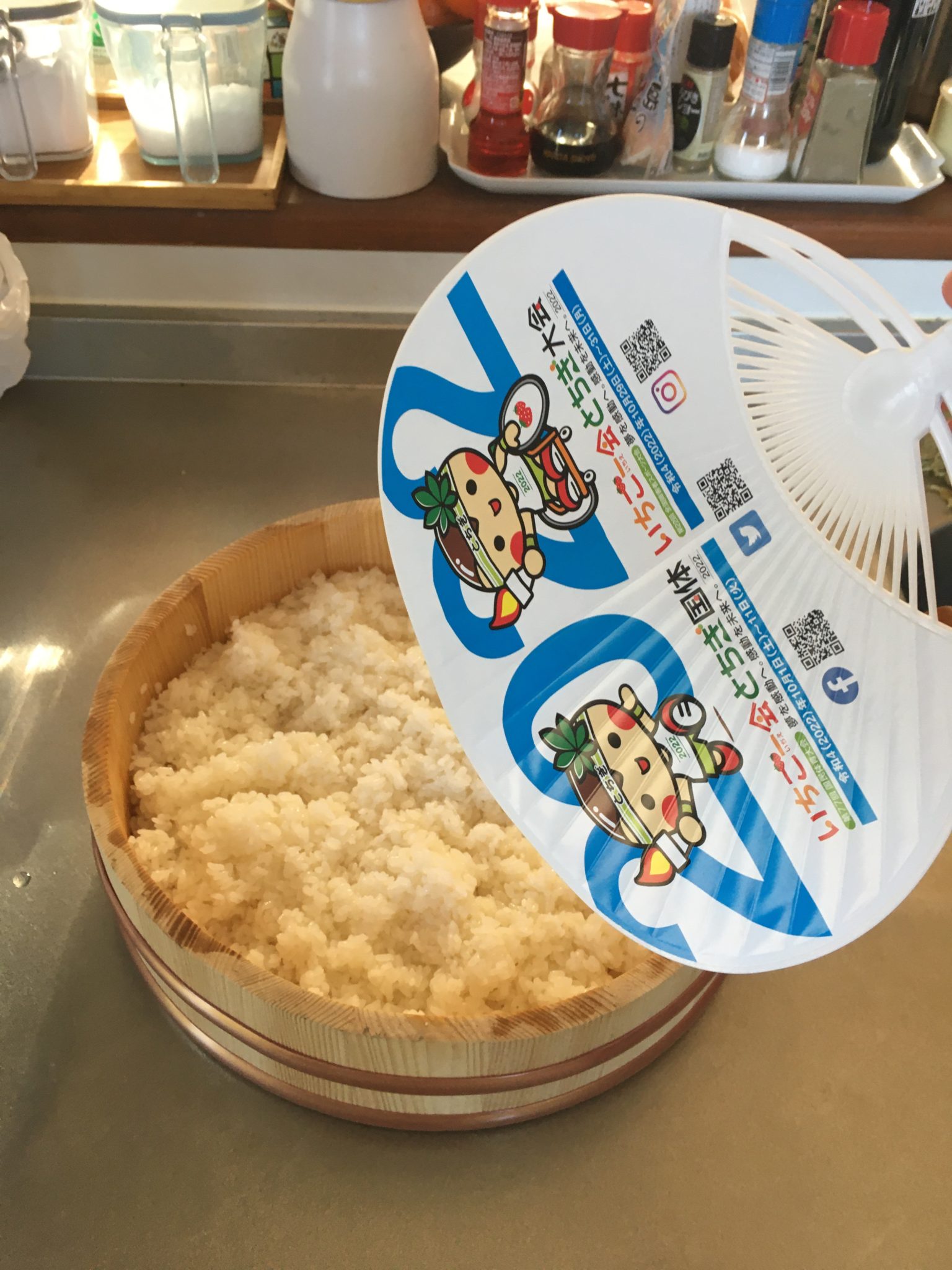 Sumeshi: cocina japonesa | Vamos a cocinar ! Cocina Japonesa en español!