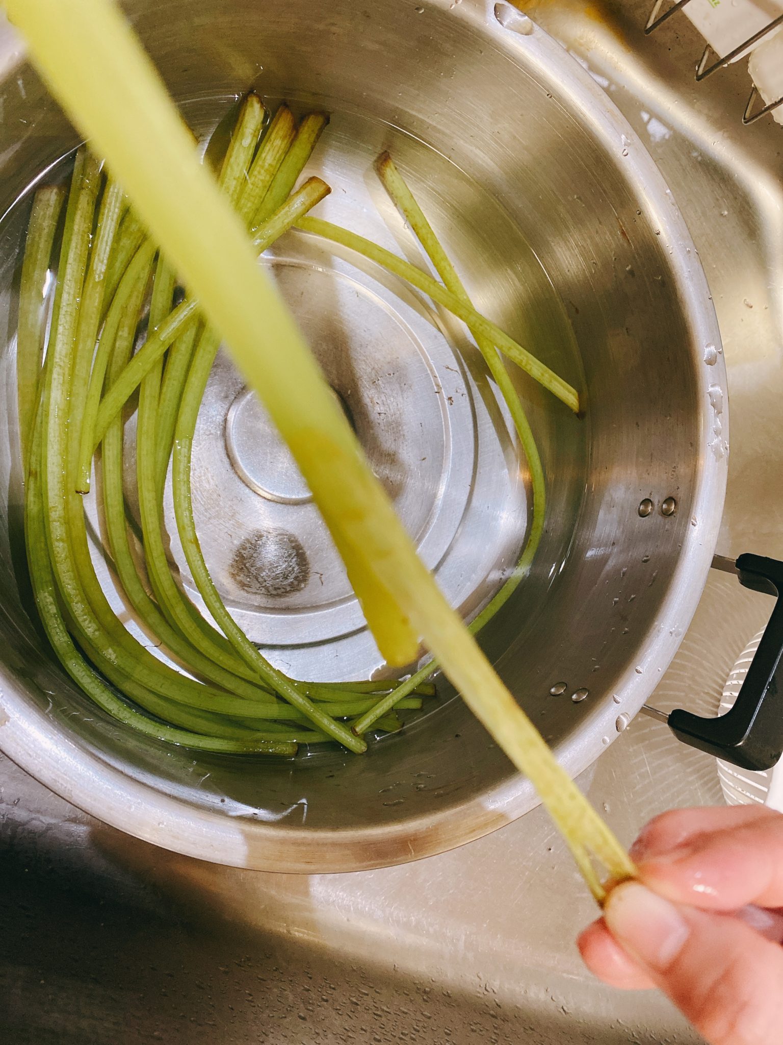 cocinajaponesa receta fuqui petasita japón | Vamos a cocinar ! Cocina ...